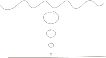 The TM Course — Transcendental Meditation Canada